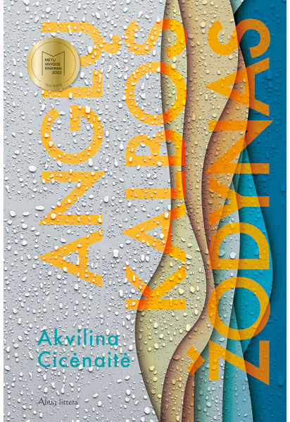 Anglų kalbos žodynas | Knyga - Pegasas