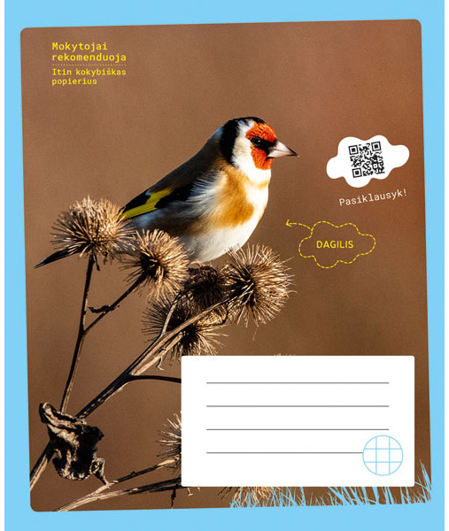 Sąsiuvinis DAGILIS, 12 l., langeliais | Pegasas