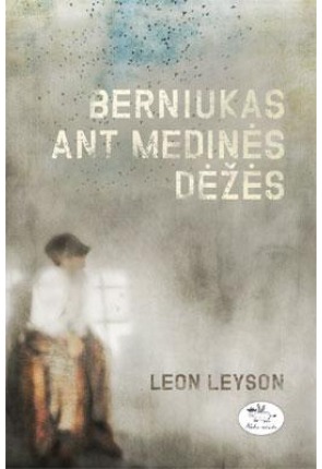 Berniukas ant medinės dėžės | Knyga - Pegasas