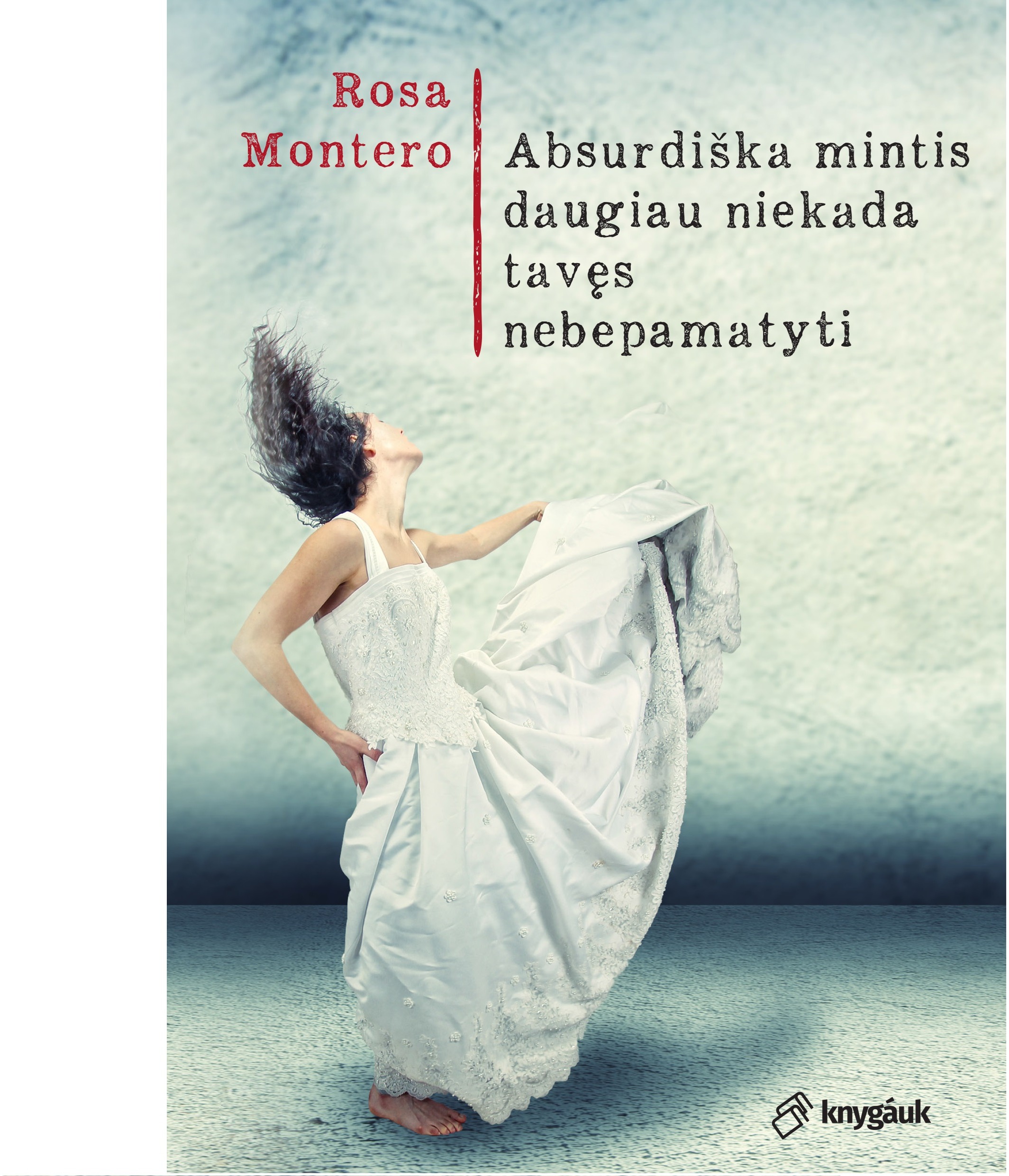 Absurdiška mintis daugiau niekada tavęs nebepamatyti | Knyga - Pegasas