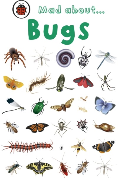 Mad About Bugs | Pegasas