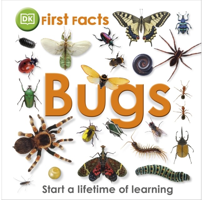First Facts Bugs | Pegasas