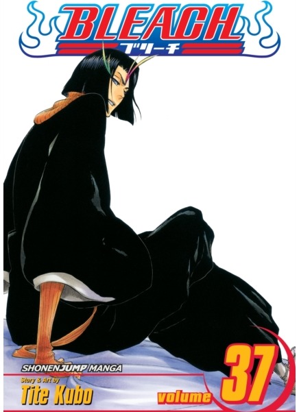 Bleach, Vol. 37 | Pegasas