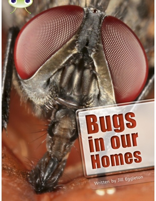 Bug Club Independent Non Fiction Year Two Lime A Bugs in our Homes | Pegasas