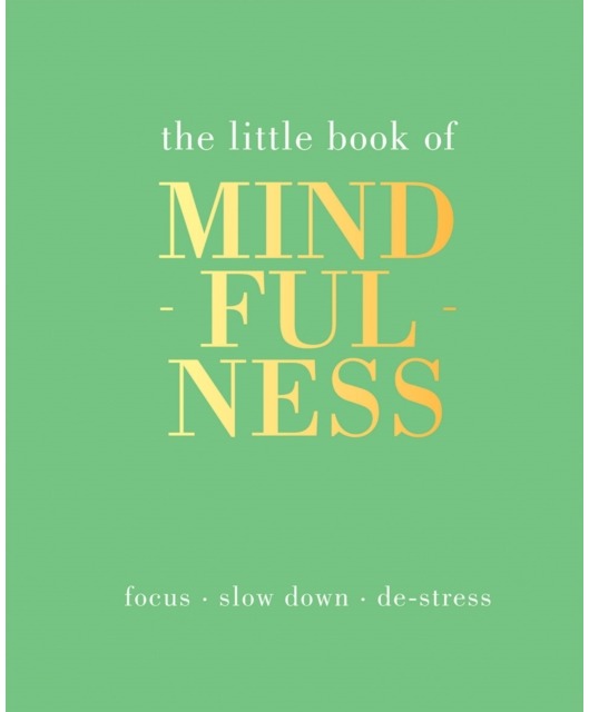 Little Book of Focus, Slow Down, | Pegasas