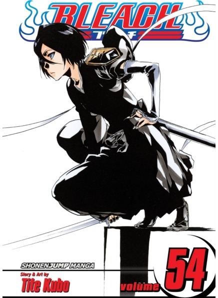Bleach, Vol. 54 | Pegasas