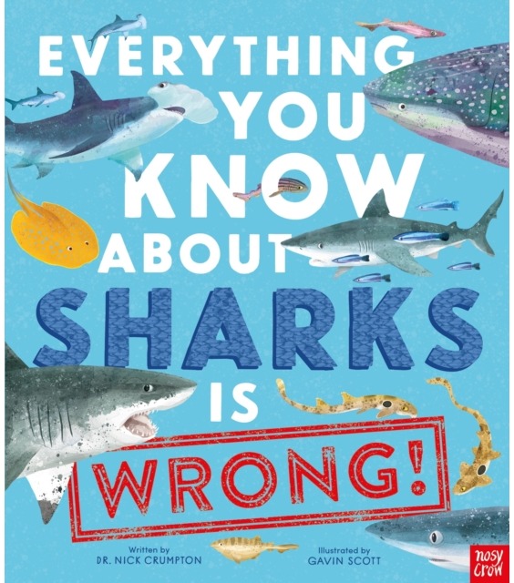 Everything You Know | Pegasas