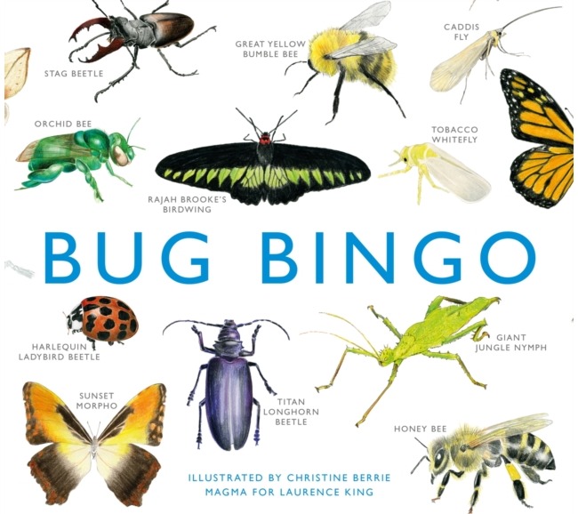 Bug Bingo | Pegasas