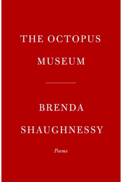 Octopus Museum Poems | Pegasas