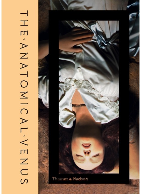 Anatomical Venus | Pegasas