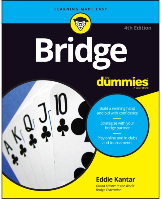 Bridge For Dummies | Pegasas