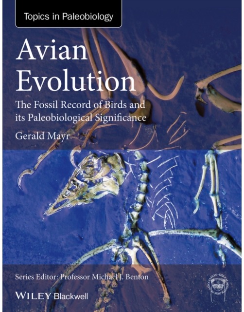 Avian Evolution The Fossil Record of | Pegasas