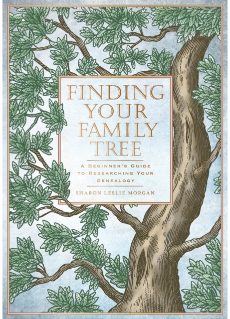 Finding Your Family A Beginner’s Guide | Pegasas