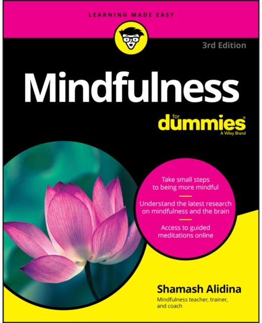 Mindfulness For | Pegasas