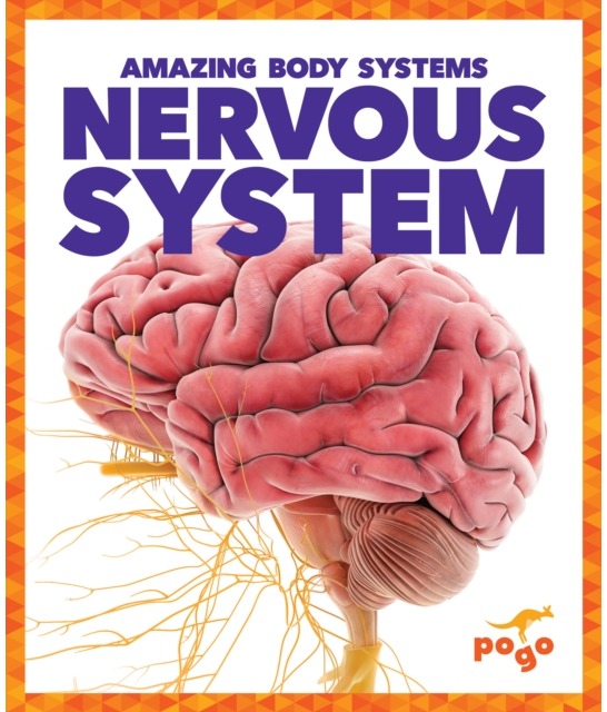 Nervous System | Pegasas