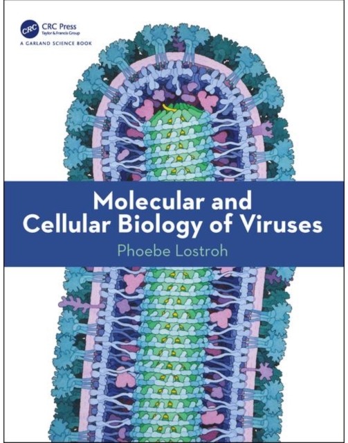 Molecular and Cellular Biology of Viruses | Pegasas