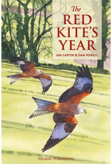 Red Kite’s Year | Pegasas