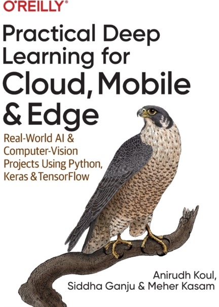 Practical Deep Learning for Cloud and Mobile Real-World AI & | Pegasas