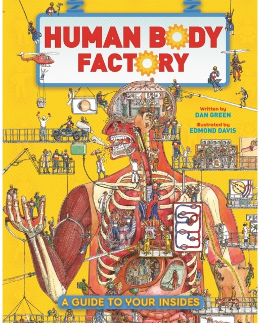 Human Body Factory A Guide To Your | Pegasas