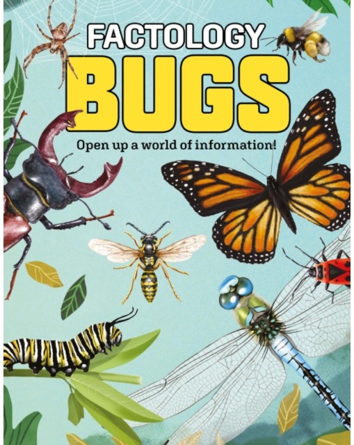 Factology: Bugs Open Up a World of | Pegasas