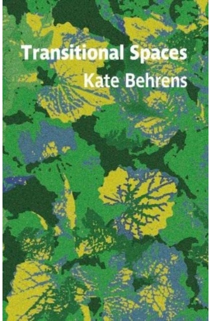 Transitional Spaces | Pegasas