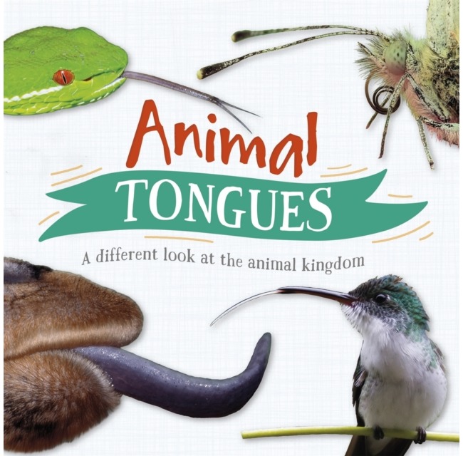 Animal Tongues A different look at | Pegasas