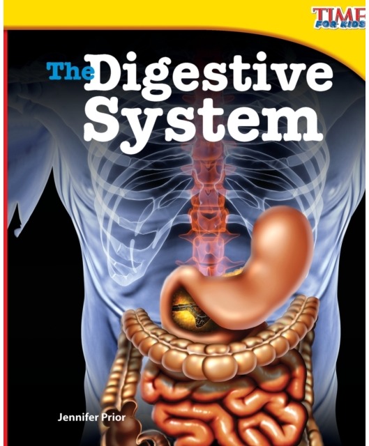Digestive System | Pegasas