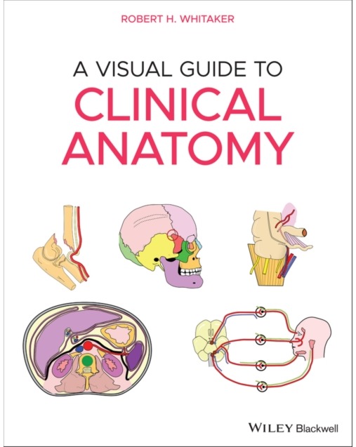 Visual Guide to Clinical Anatomy | Pegasas