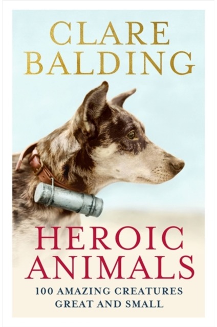 Heroic Animals Amazing Creatures | Pegasas