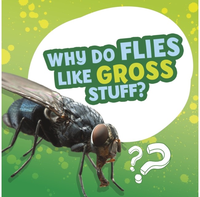 Why Do Flies Like Gross Stuff? | Pegasas