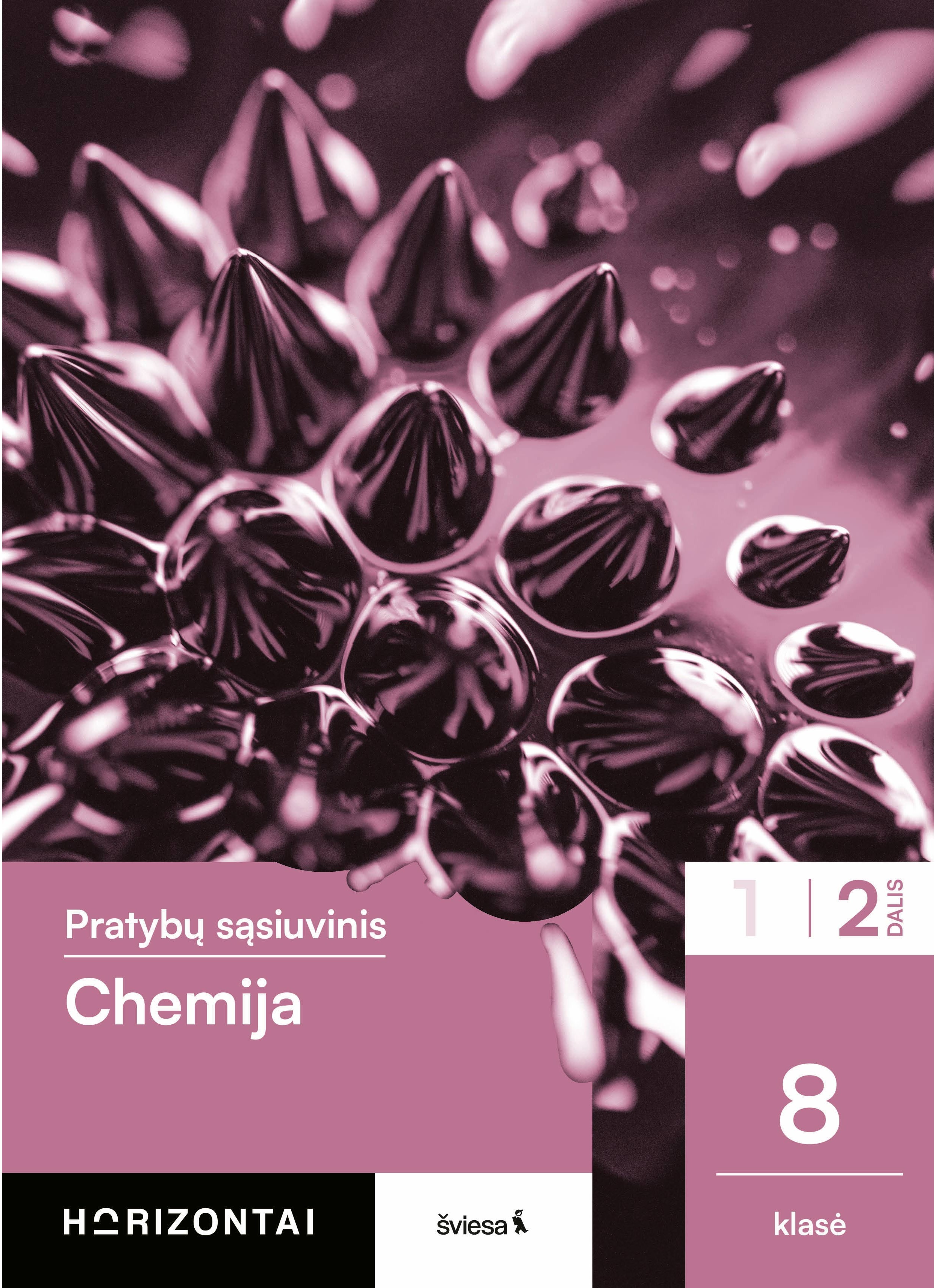 Chemija. Pratybų sąsiuvinis 8 klasei, 2 dalis, serija Horizontai | Pegasas