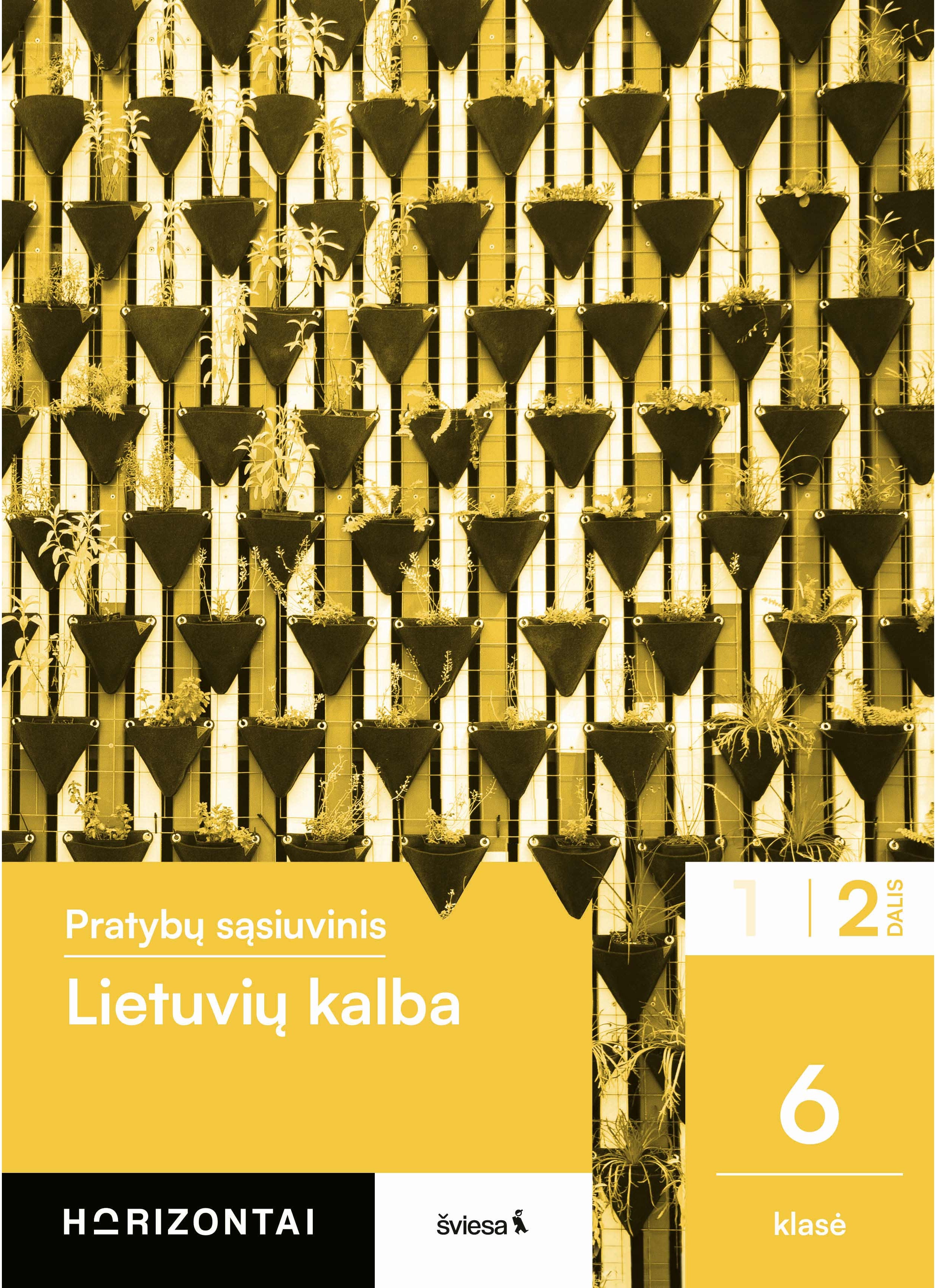 Lietuvių kalba. Pratybų sąsiuvinis 6 klasei, 2 dalis, serija Horizontai | Pegasas