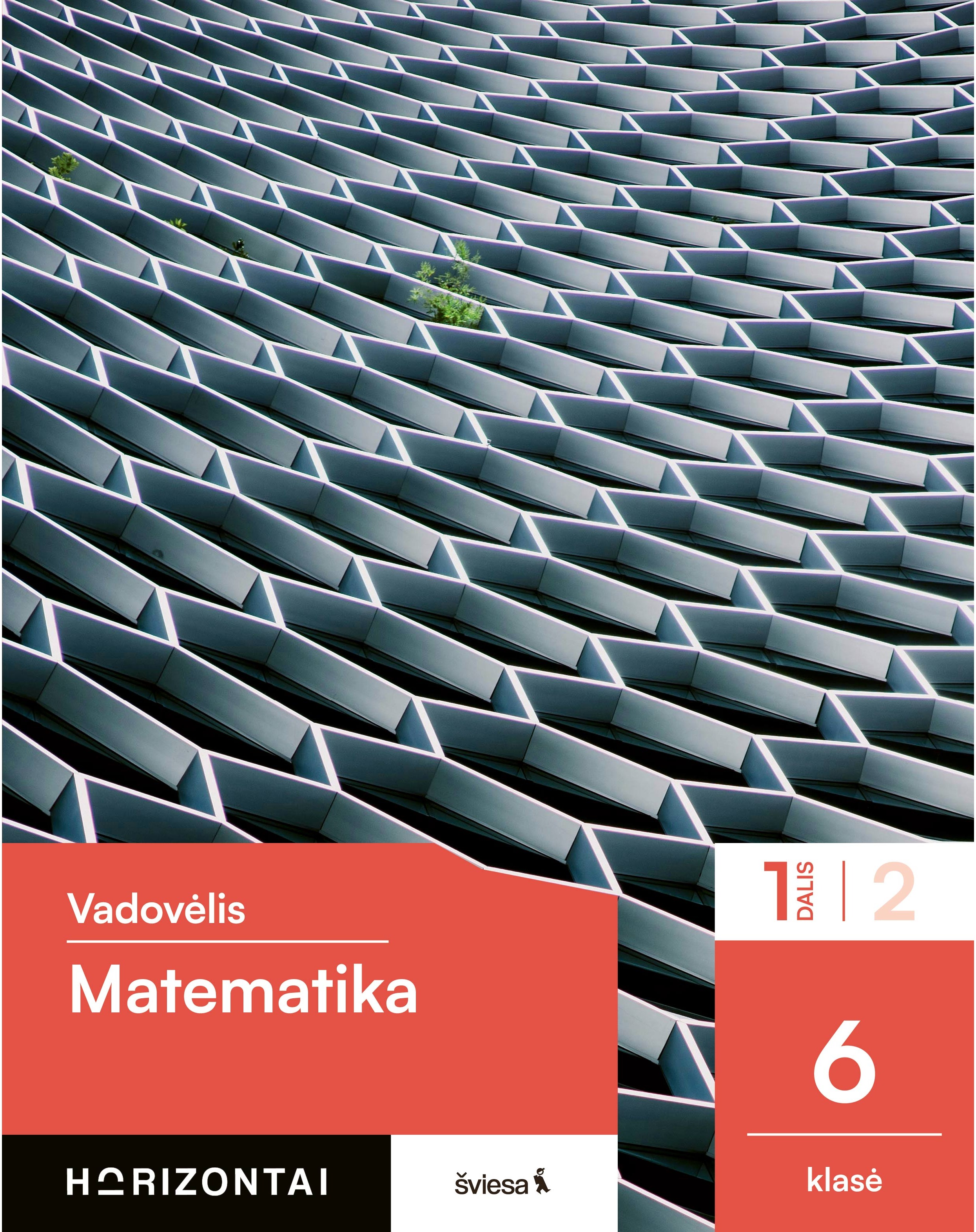 Matematika. Vadovėlis 6 klasei, 1 dalis, serija Horizontai | Pegasas