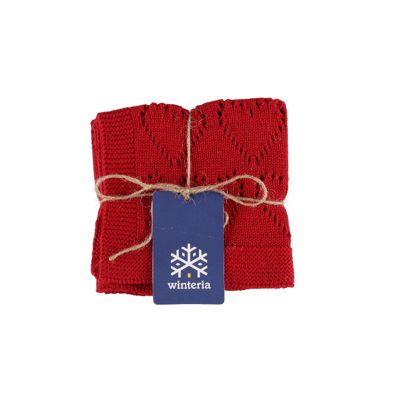 Virtuvės rankšluostis WINTERIA RED, 25x25 cm, 2 vnt. | Pegasas