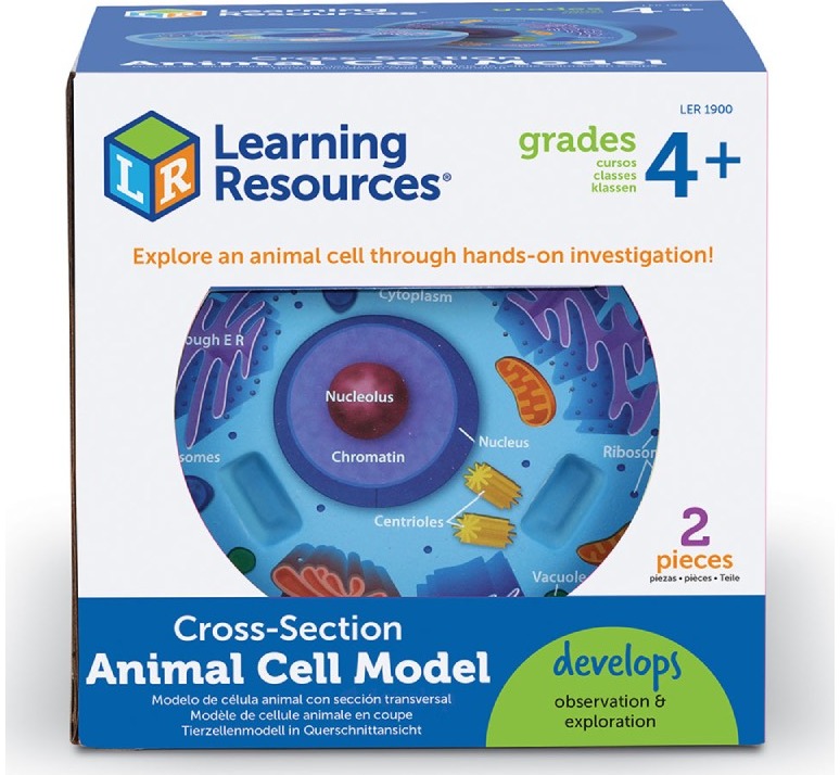 Gyvūno ląstelės modelis LR | Pegasas