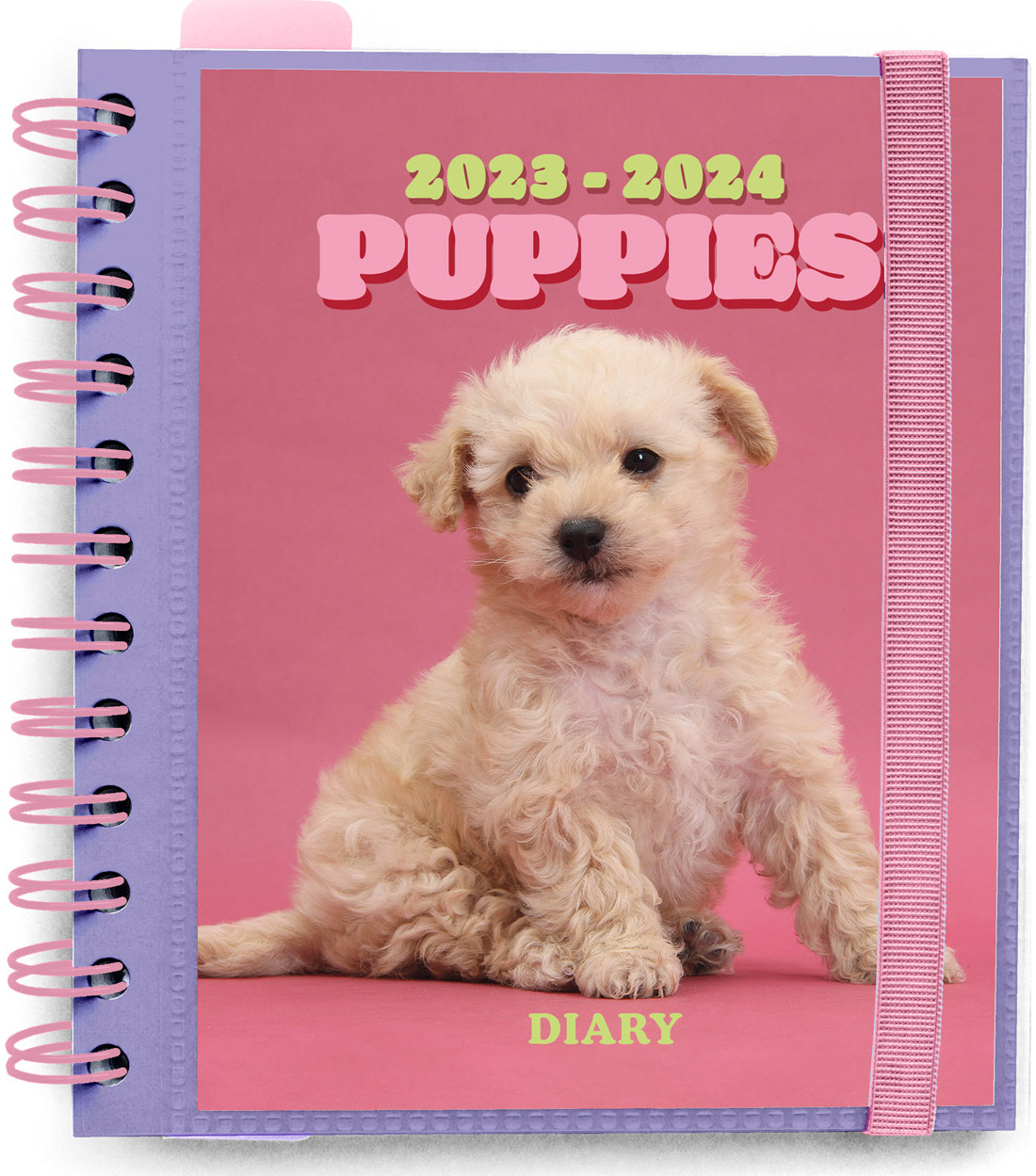 Mokslo kalendorius DOGS 2023/2024 M ACADEMIC diena puslapyje 11 mėn. (23 rugp.-2 4 liepa) | Pegasas