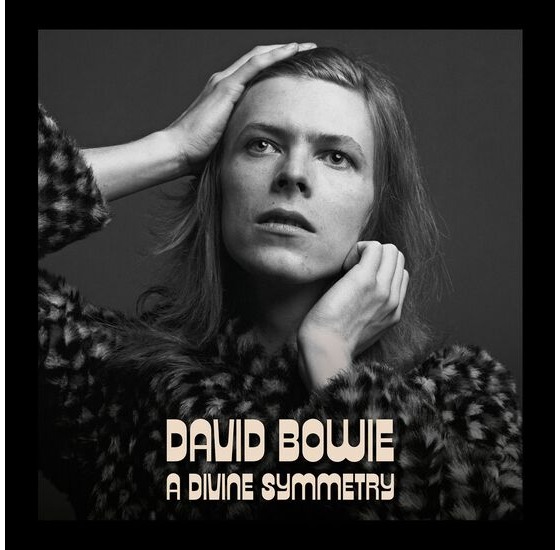 Vinilinė plokštelė David Bowie: A Divine Symmetry (An Alternative ...