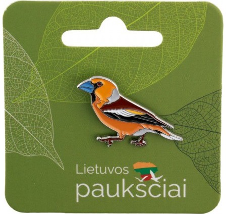 Ženkliukas Svilikas | Pegasas