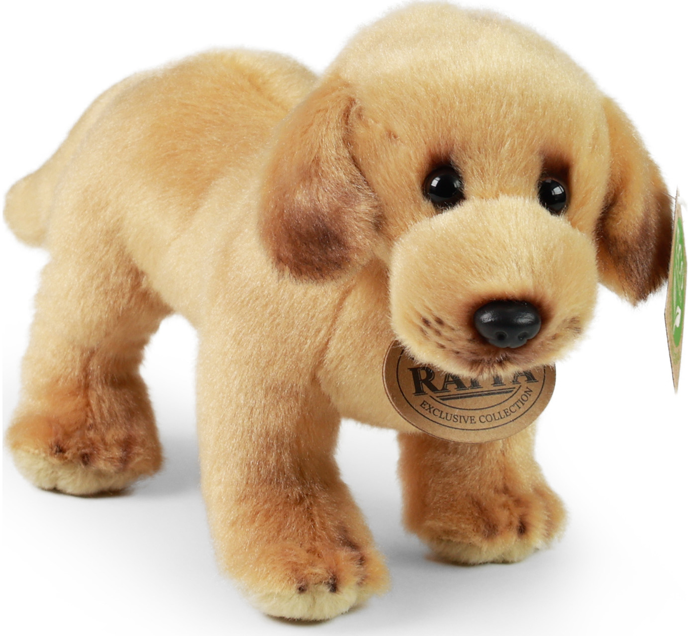 Pliušinis žaislas šuo labradoras 20 cm ECO-FRIENDLY | Pegasas